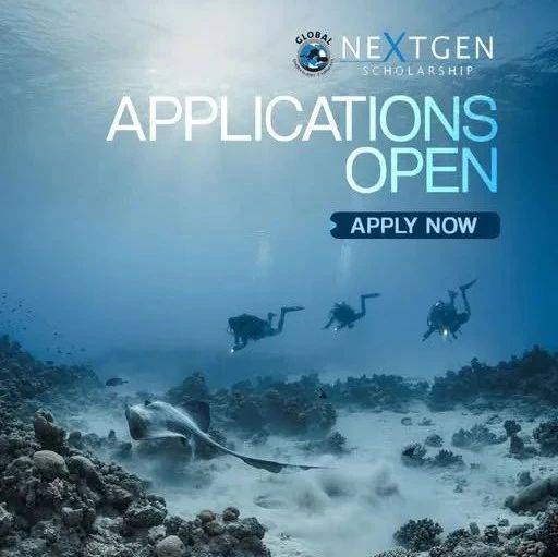 一生一次的极地冒险：2026 GUE NextGen 奖学金邀你探索南北极！_潜水_探险_详情