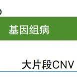 CNVs检测技术：CMA技术 or CNV-seq技术？_染色体_分析_超声