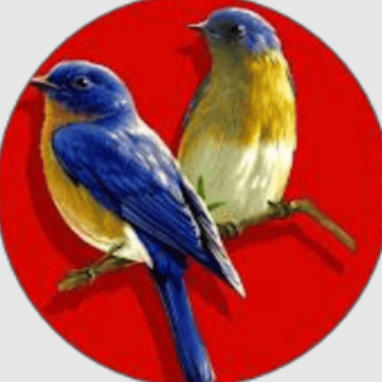 43岁范冰冰路边被偶遇，穿普通条纹衫嫩如小仙女，素颜不化妆仍美艳动人_肌肤_成功_状态