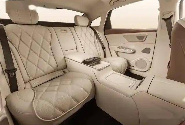 盲订已超5万，“最美”奇瑞C级车更名“风云A9L”，6月交付！_搜狐汽车_搜狐网