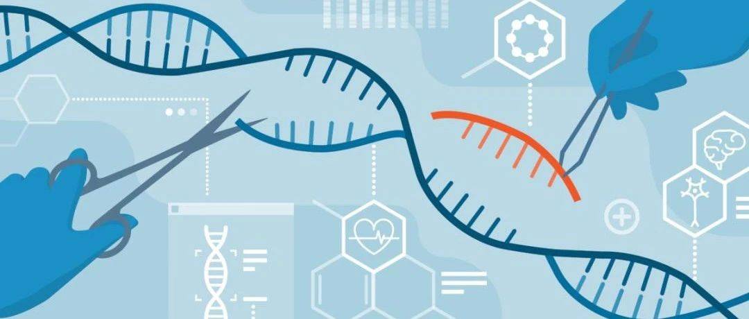 DMD 药物开发全景：外泌体疗法预期今年上市，ASO 领跑，AAV 与基因编辑迭代赶超_Sarepta_患者_缺失