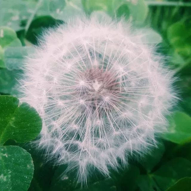 周三012德甲前瞻：霍芬海姆主场体系碾压！残阵门兴锋线瘫痪，能否靠防反续命？_客场_防守