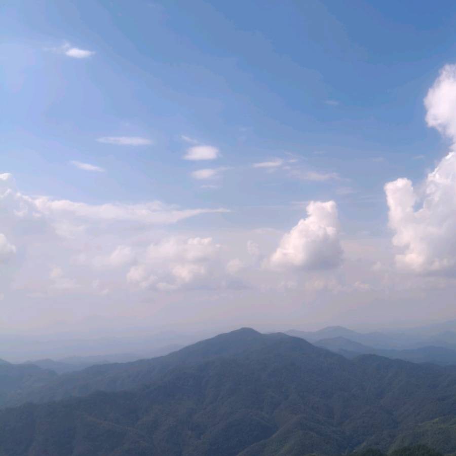 企业GEO高效工具评测：覆盖主流AI搜索平台_内容_国际数据公司_bu