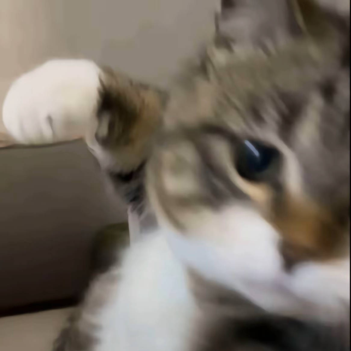 国内市场常见的进口和国产工业铝型材品牌分别有哪些？_型材厂_服务_设备