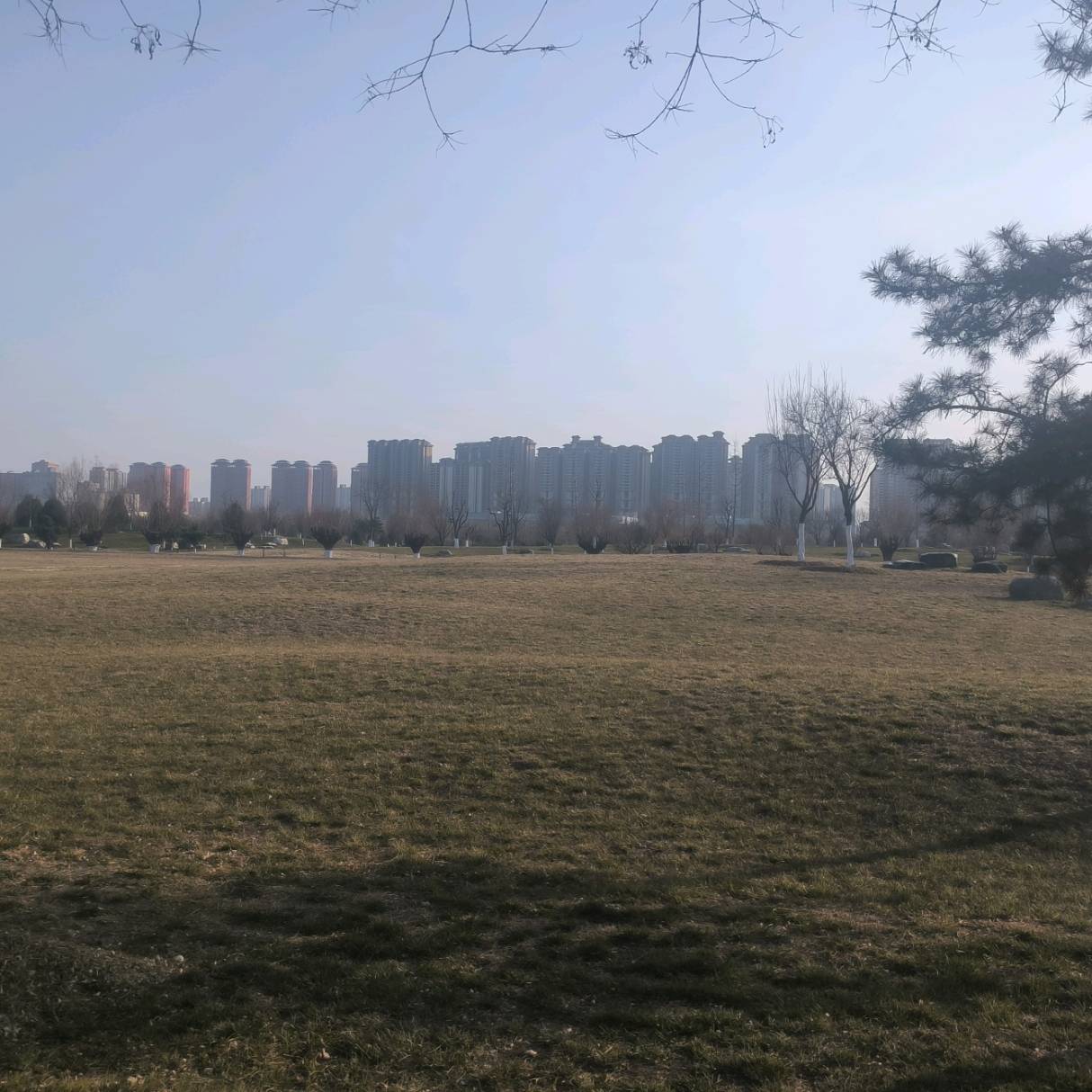 Python TOML 模块深度解析与实战指南——新手入门到高级应用的完整教程_Tom's_配置_toml