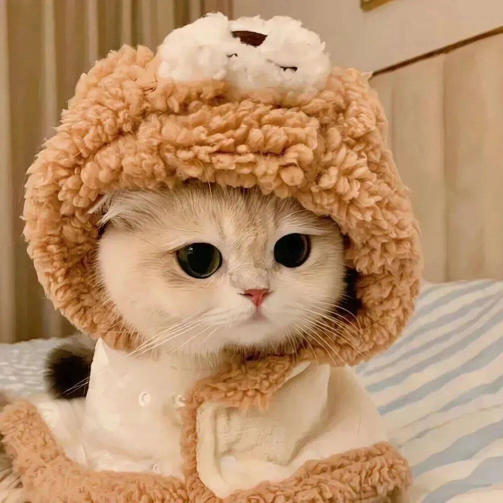 厦门卓瑞峰贸易有限公司：东海碳素/中国进口石墨/东海g347/高密度进口石墨/日本进口石墨专业供应商_制造