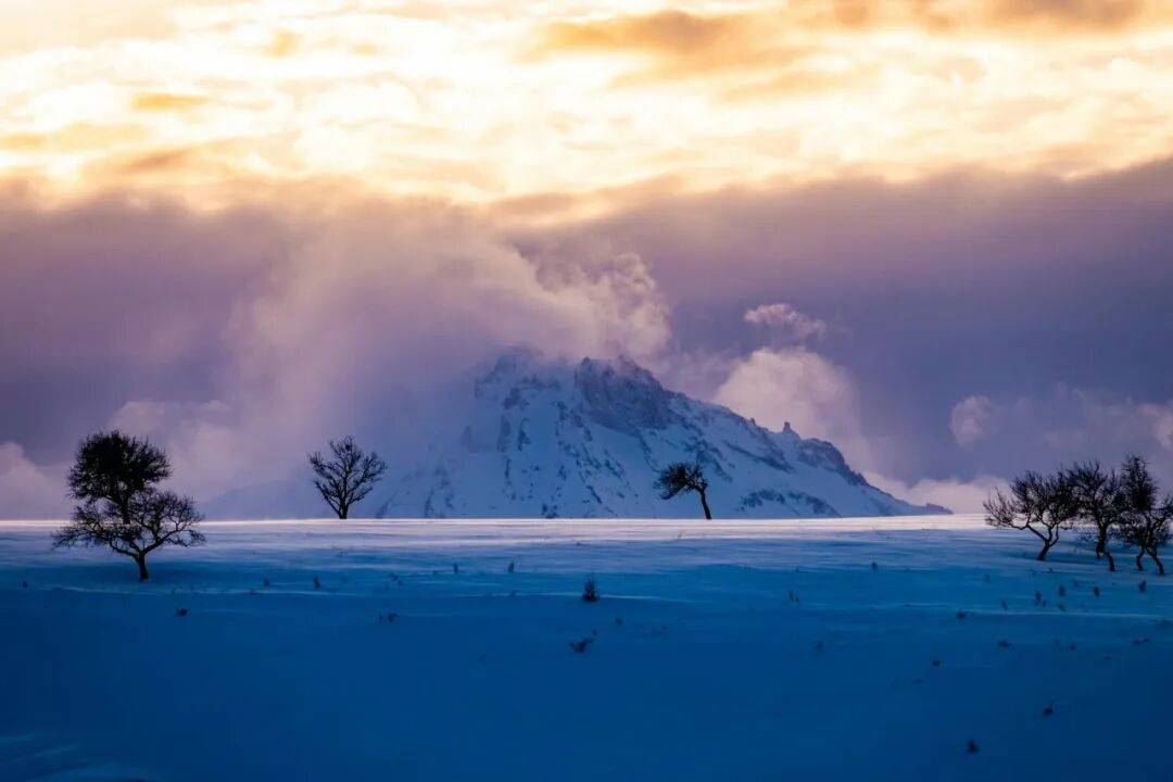 每日文章精选 2026 01 24_Llama_工具_cpp