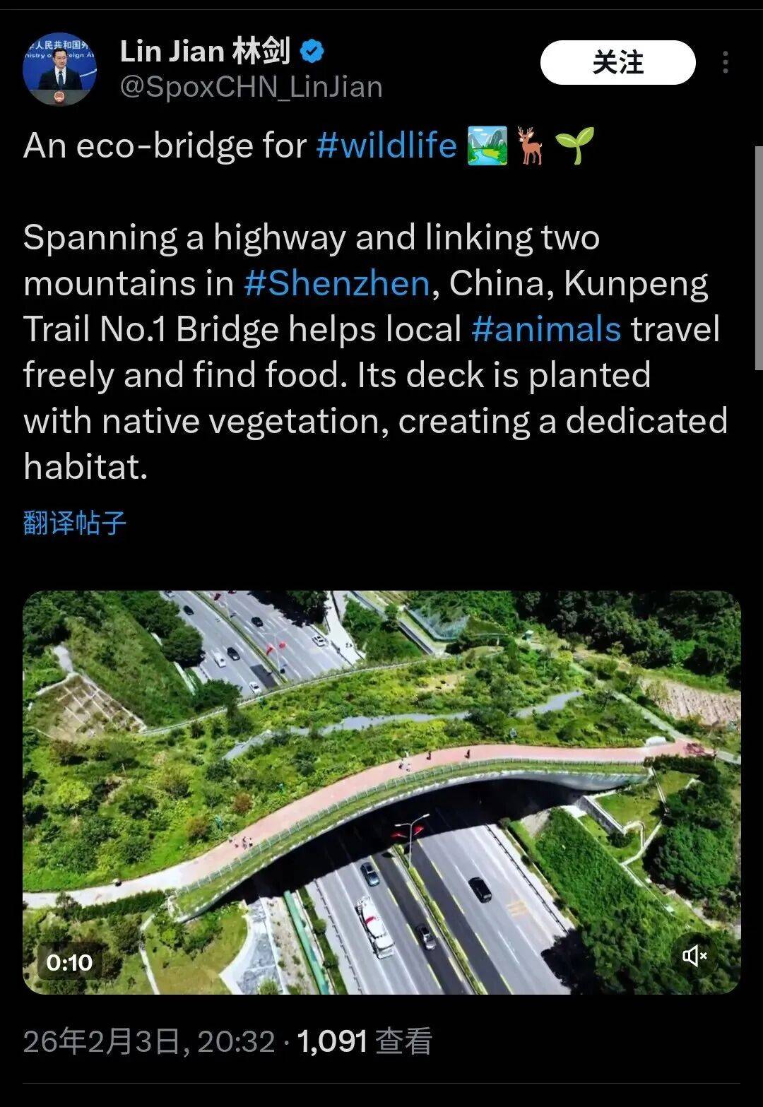 外交部发言人林剑发帖点赞深圳生态！Shenzhen's Kunpeng Trail No.1 Bridge Wins Global ...