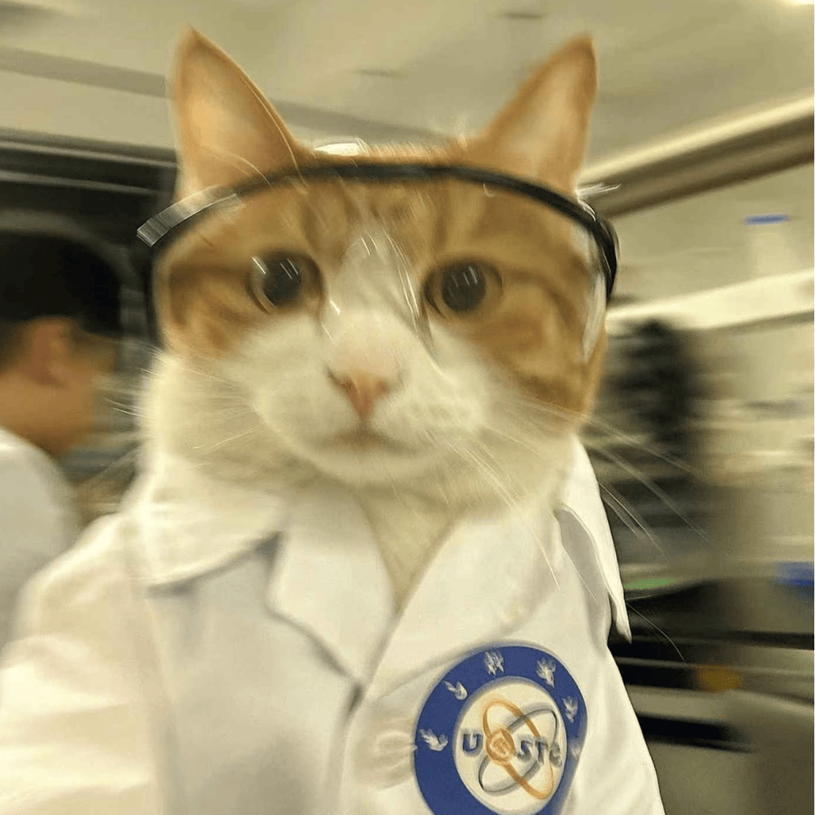 187099-99-6，SULFORHODAMINE 101 DHPE：脂质体细胞膜特异性荧光标记磷脂试剂_Texas_Red-DHPE_ester