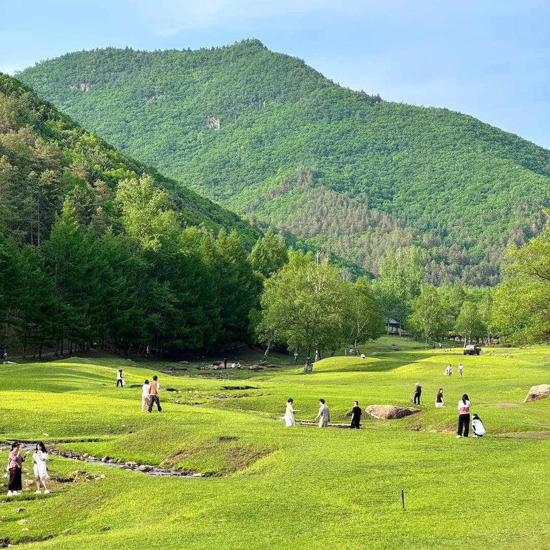 2026年东北跟团游哪家好？中青国际旅游口碑推荐top5_服务_哈尔滨市_游客